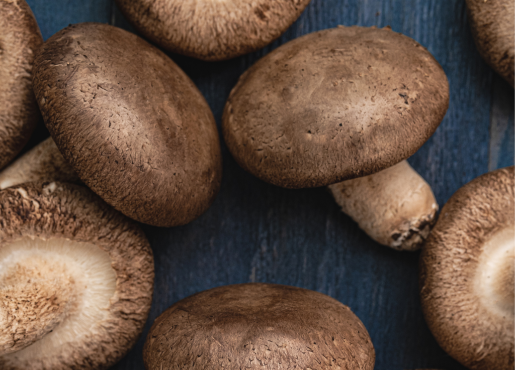 Shiitake Mushrooms - Tracie Braylock RN